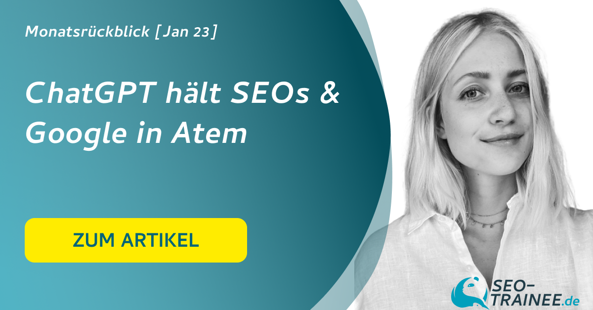 SEO-Monatsrückblick Januar 2023 | SEO-Trainee.de